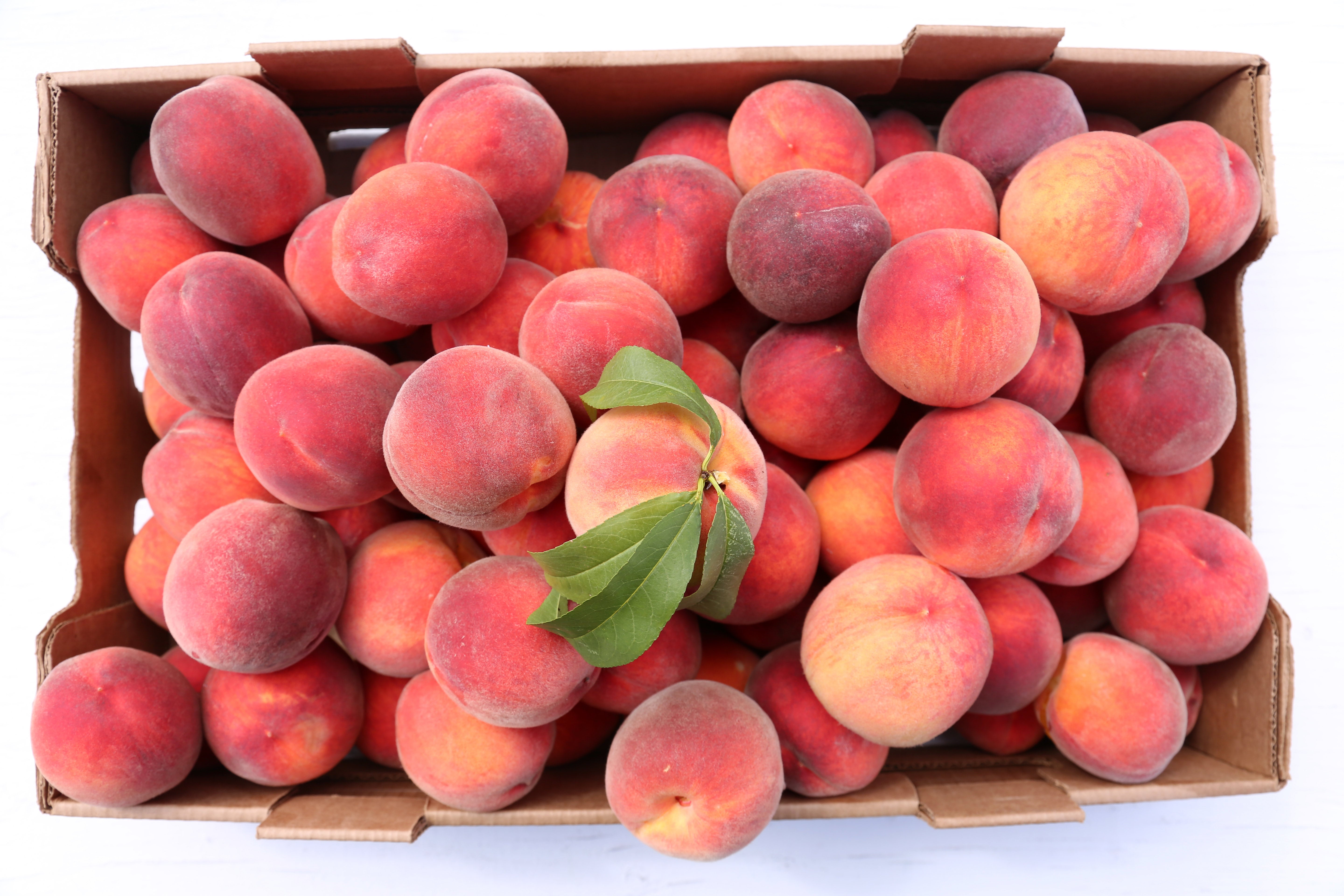 Local Pickup: 20lb Peach Box | Arnie "The Peach Guy"